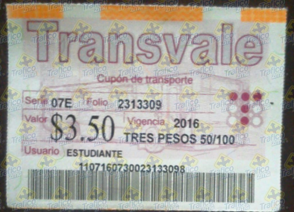 Transvales y bienevales piratas, el otro lado de un programa social