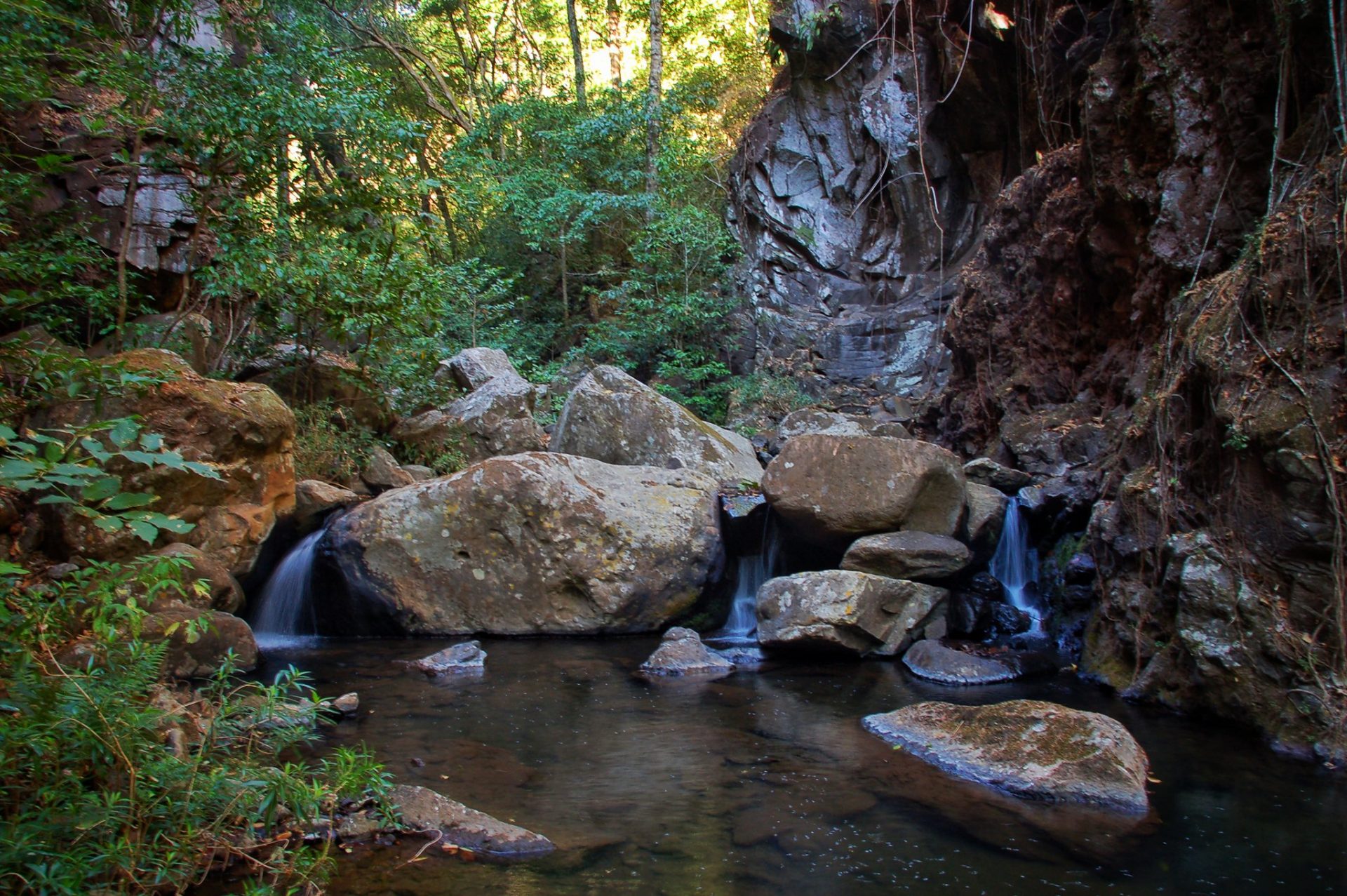 ¿Conoces la Sierra de Quila? Cumple 40 años como área protegida
